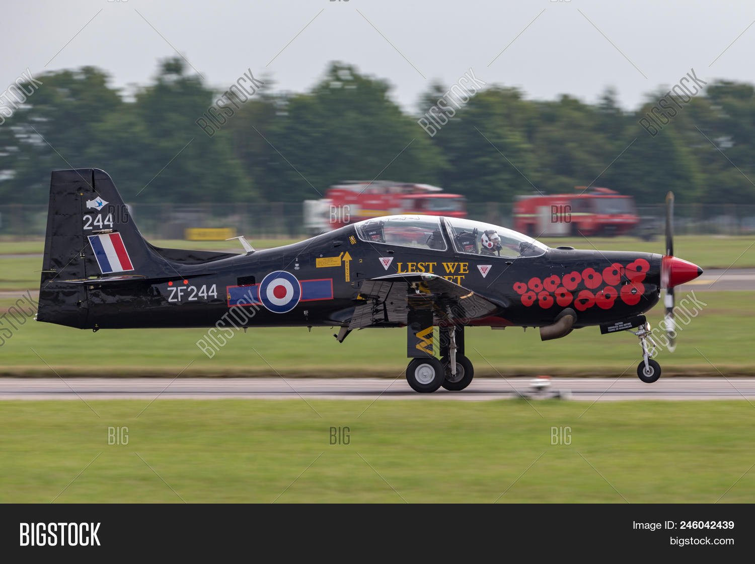 Raf Waddington, Image & Photo (Free Trial) | Bigstock