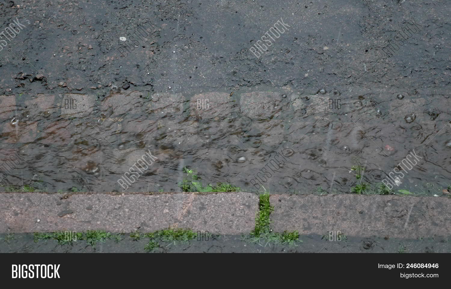 Large Rain Drops Image & Photo (Free Trial) | Bigstock