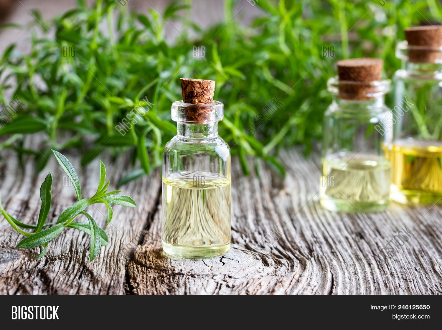 Bottle Mountain Savory Image & Photo (Free Trial) | Bigstock