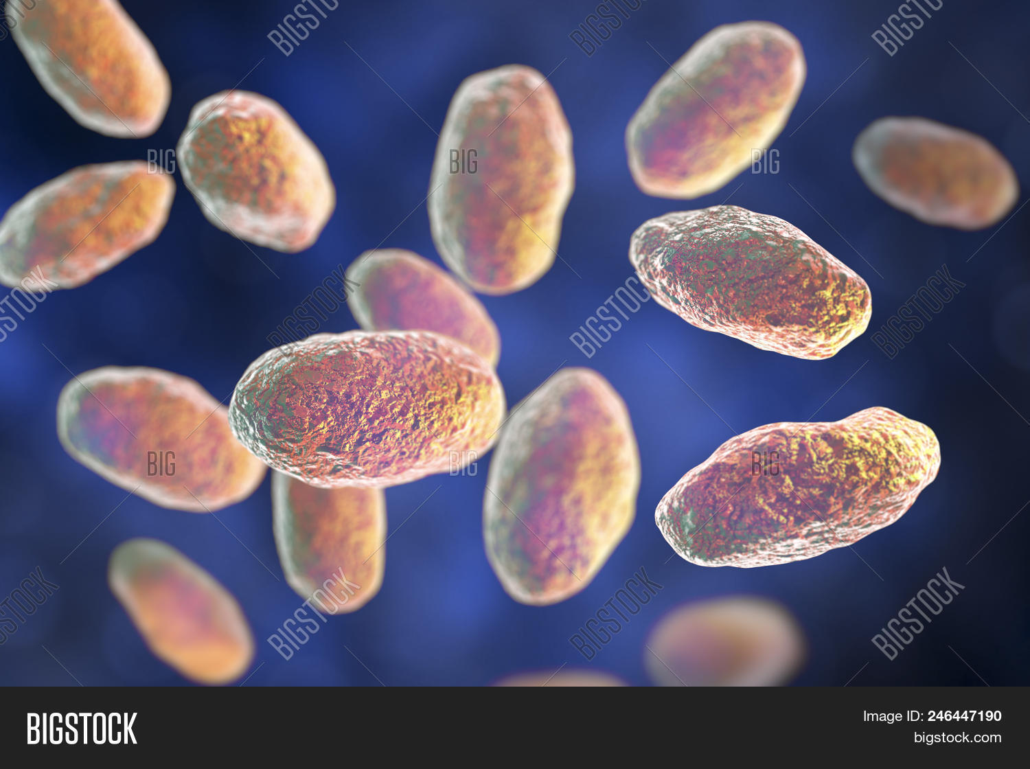 Imagen y foto Yersinia (prueba gratis) | Bigstock