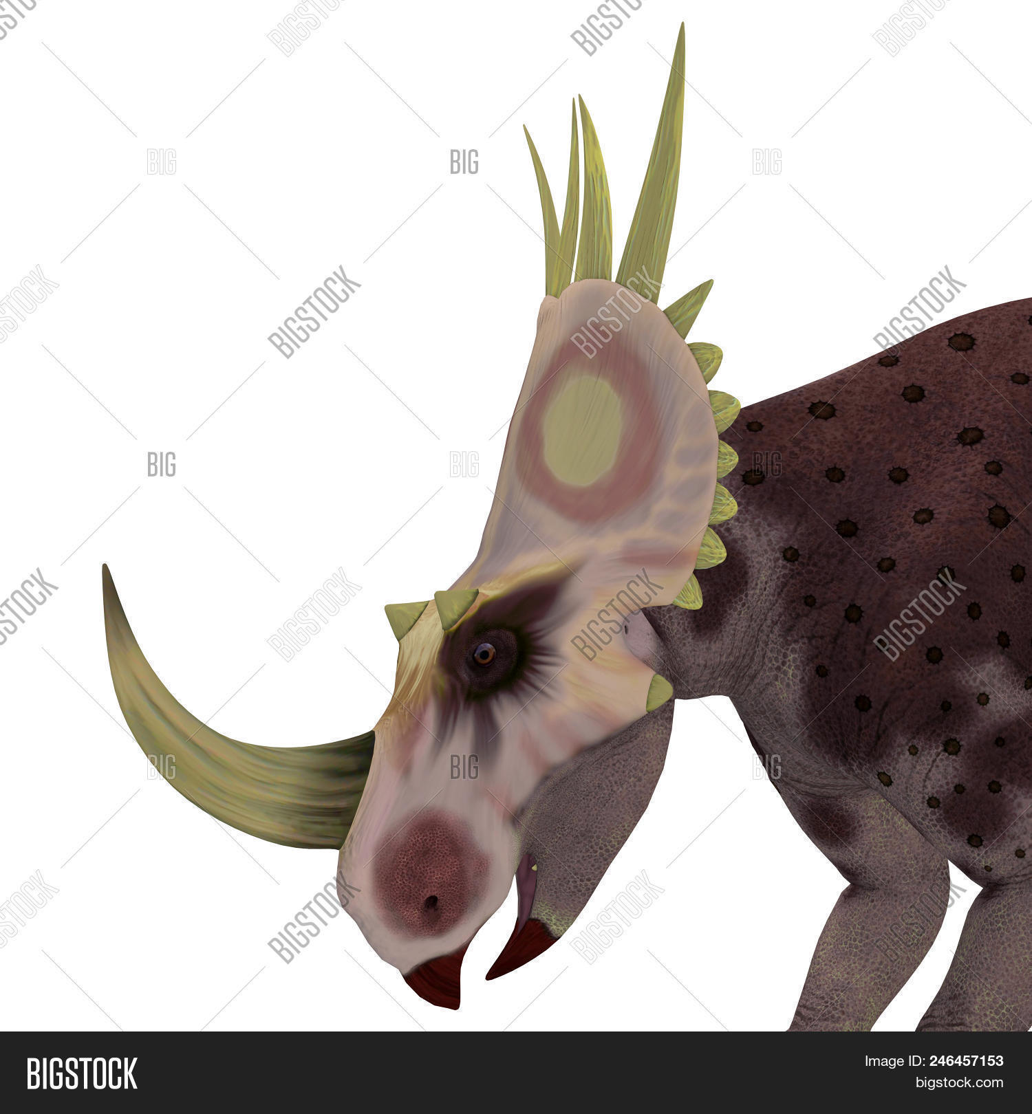 Rubeosaurus Dinosaur Image & Photo (Free Trial) | Bigstock