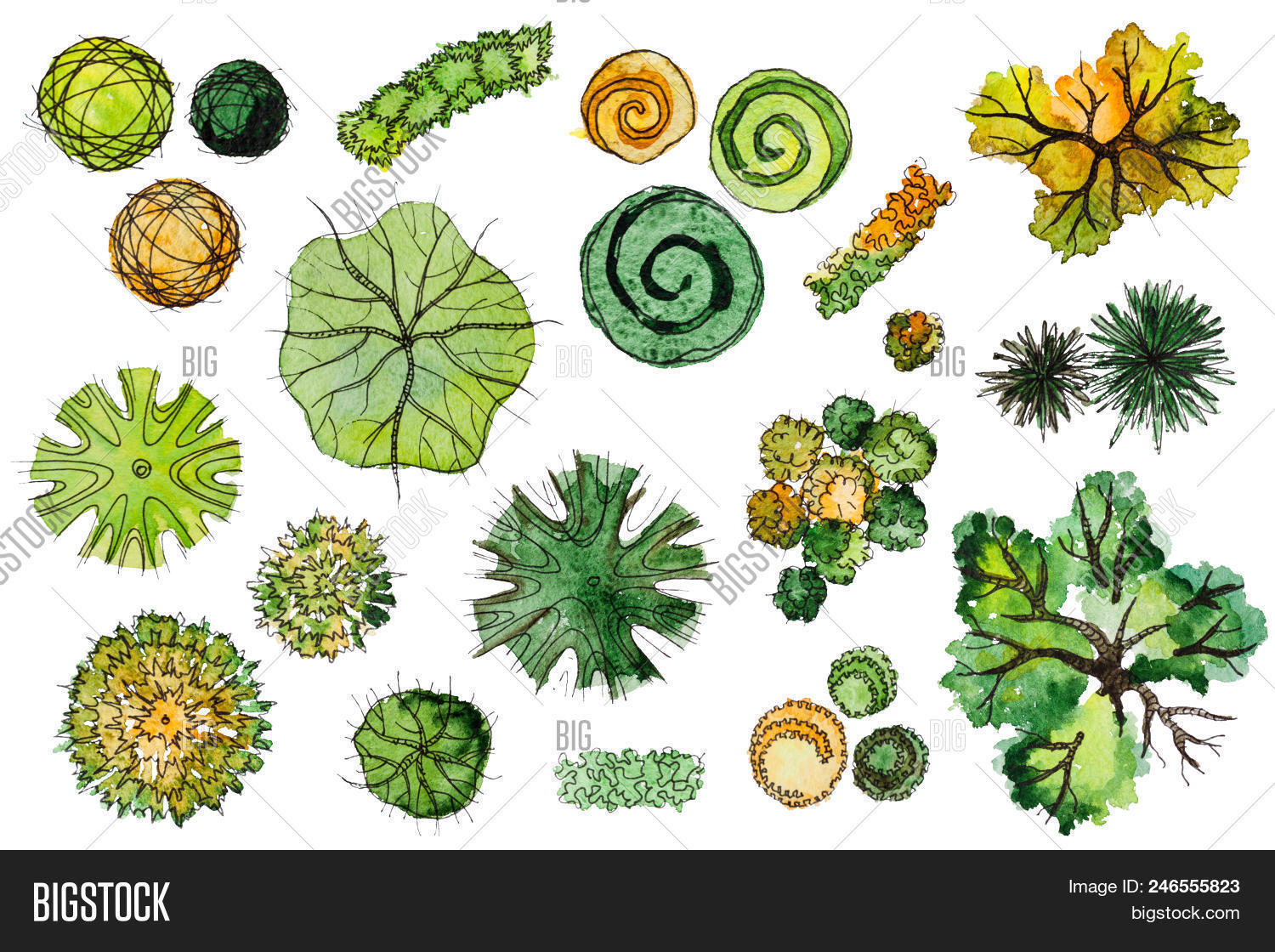 Set Hand Drawn Image & Photo (Free Trial) | Bigstock