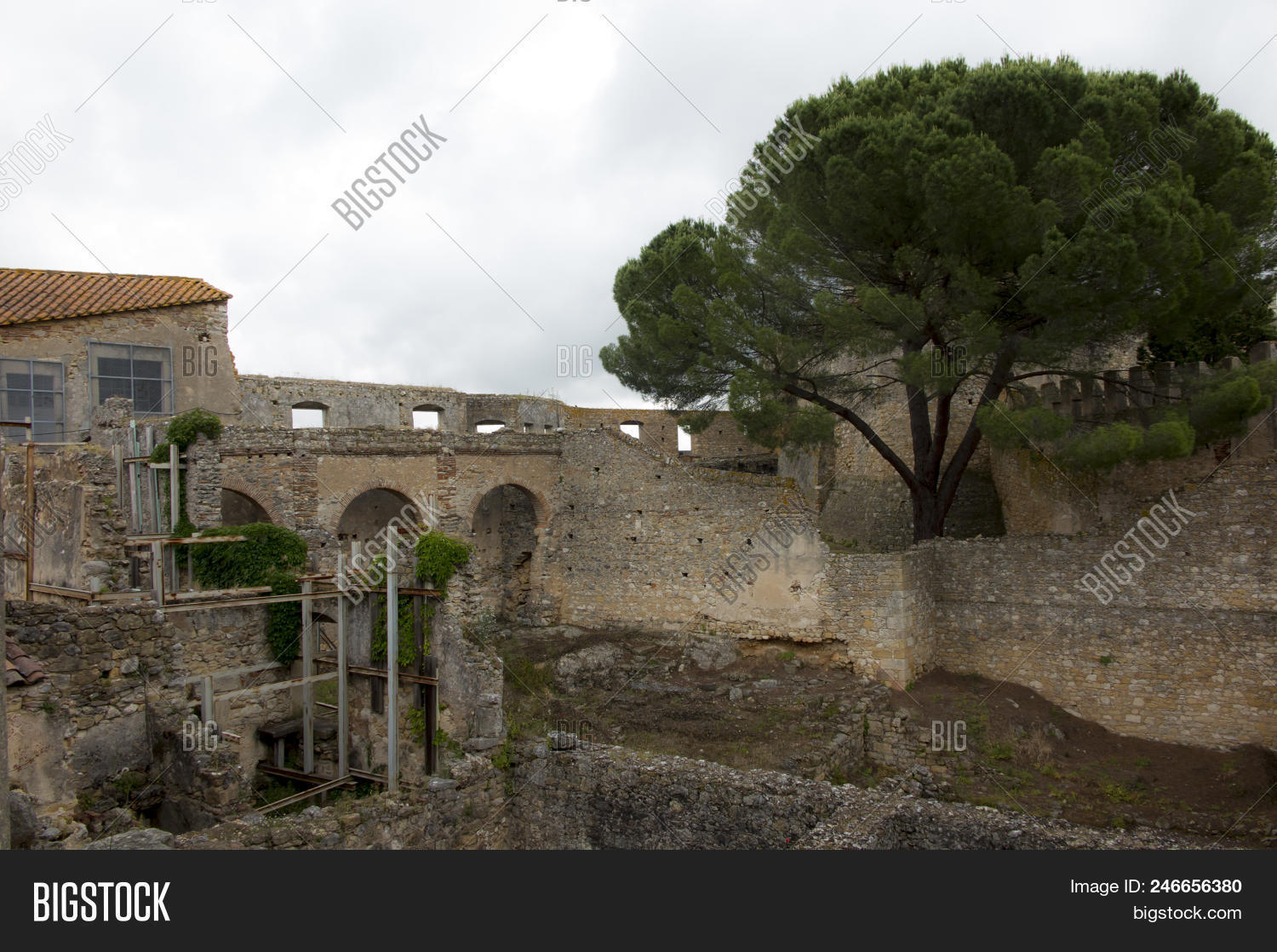Convent Christ Former Image & Photo (Free Trial) | Bigstock