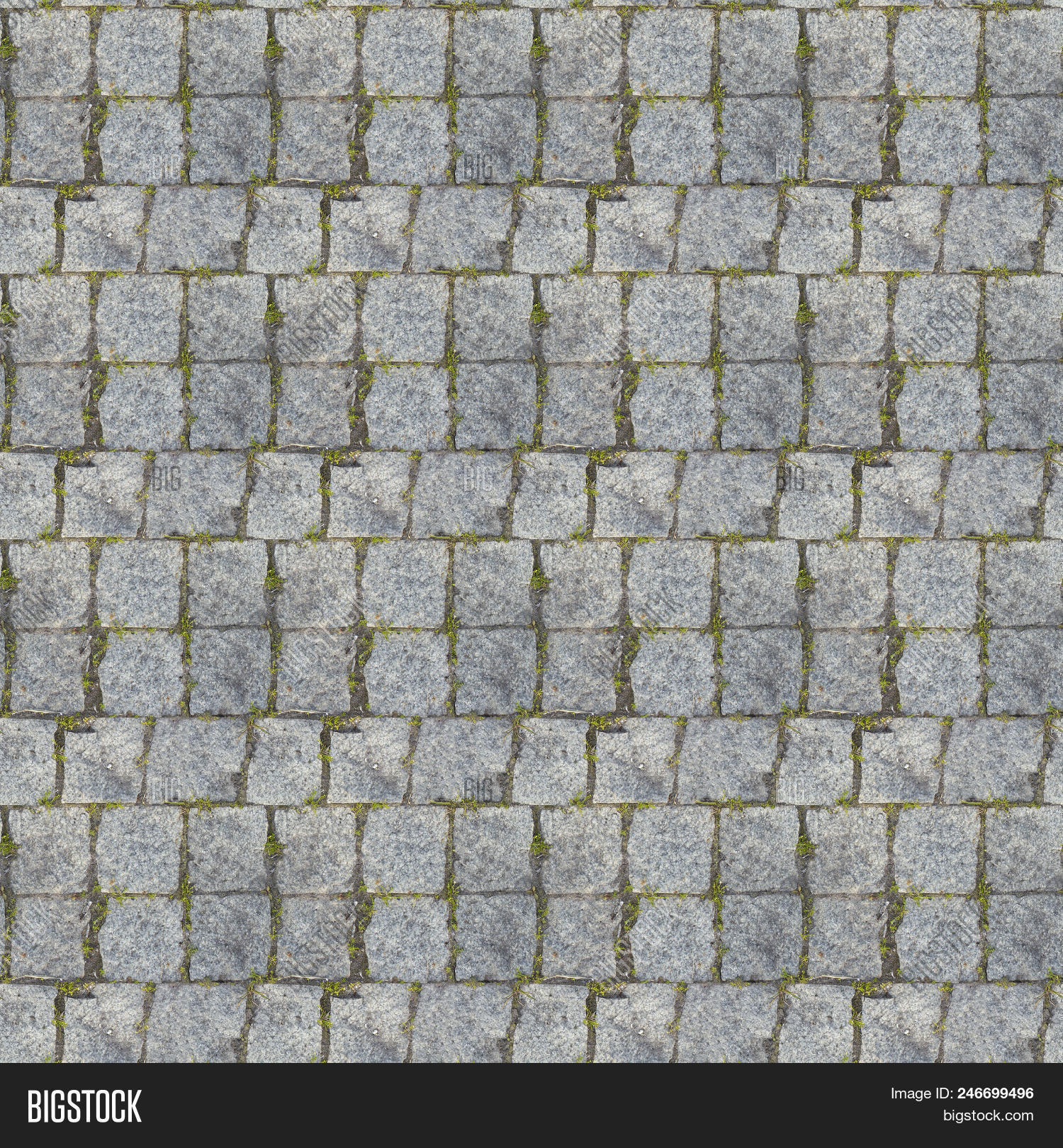 Seamless Photo Texture Image & Photo (Free Trial) | Bigstock