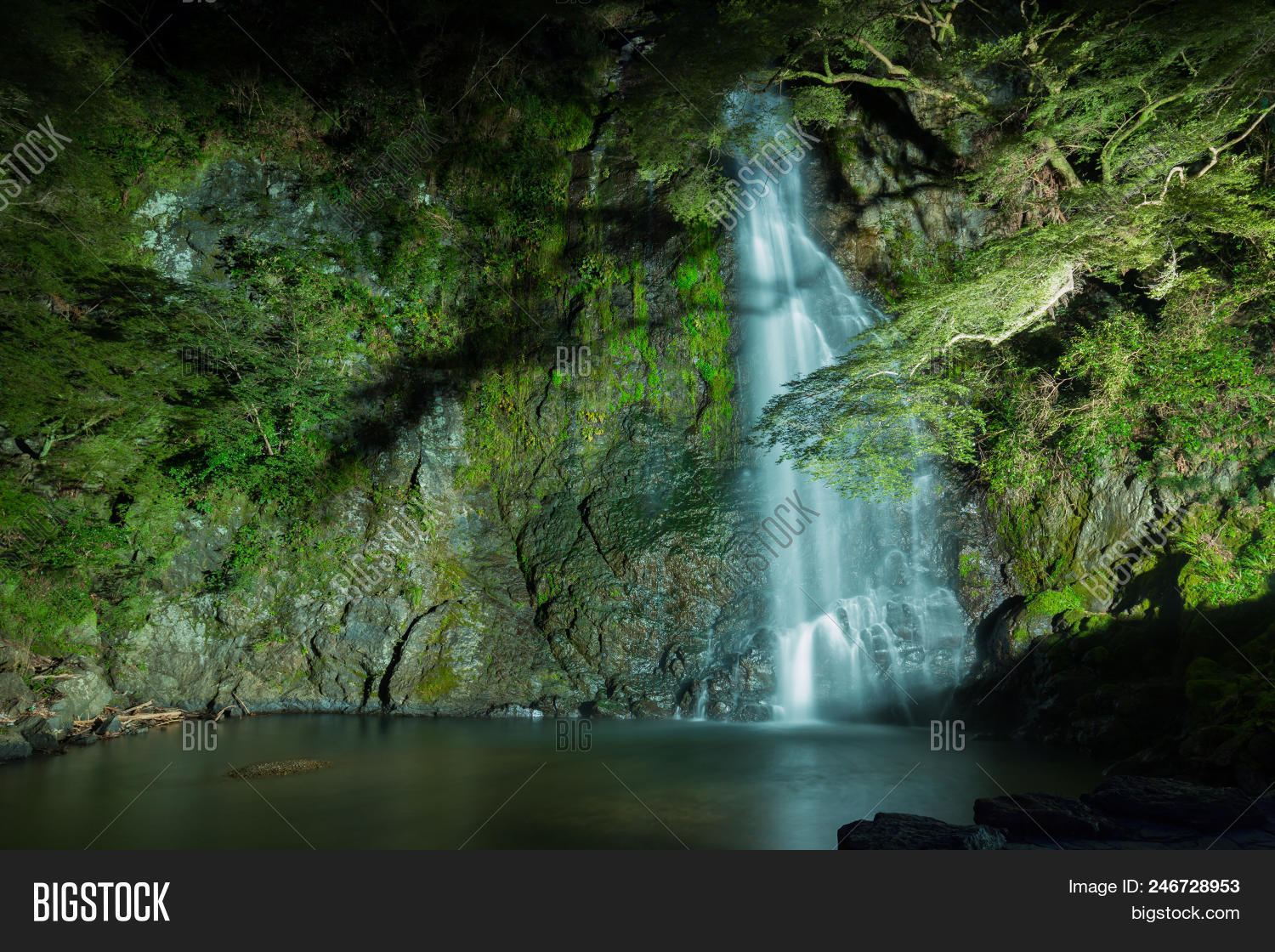 Beautiful Minoh Image & Photo (Free Trial) | Bigstock