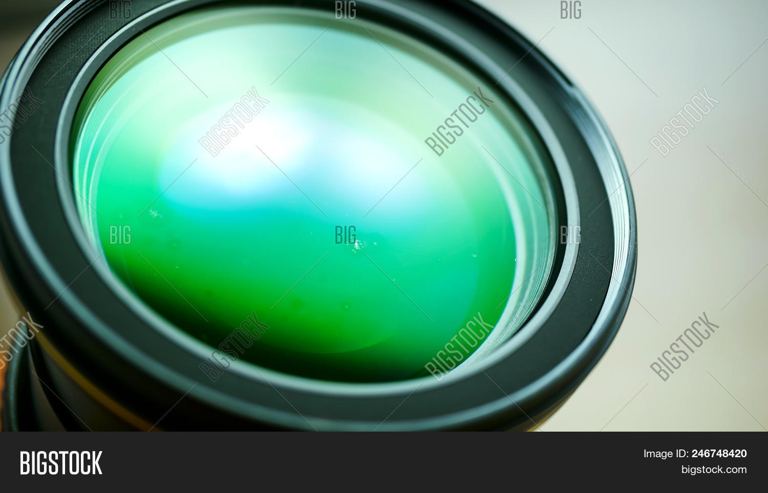 Lens Fungus On Lens Image & Photo (Free Trial) | Bigstock