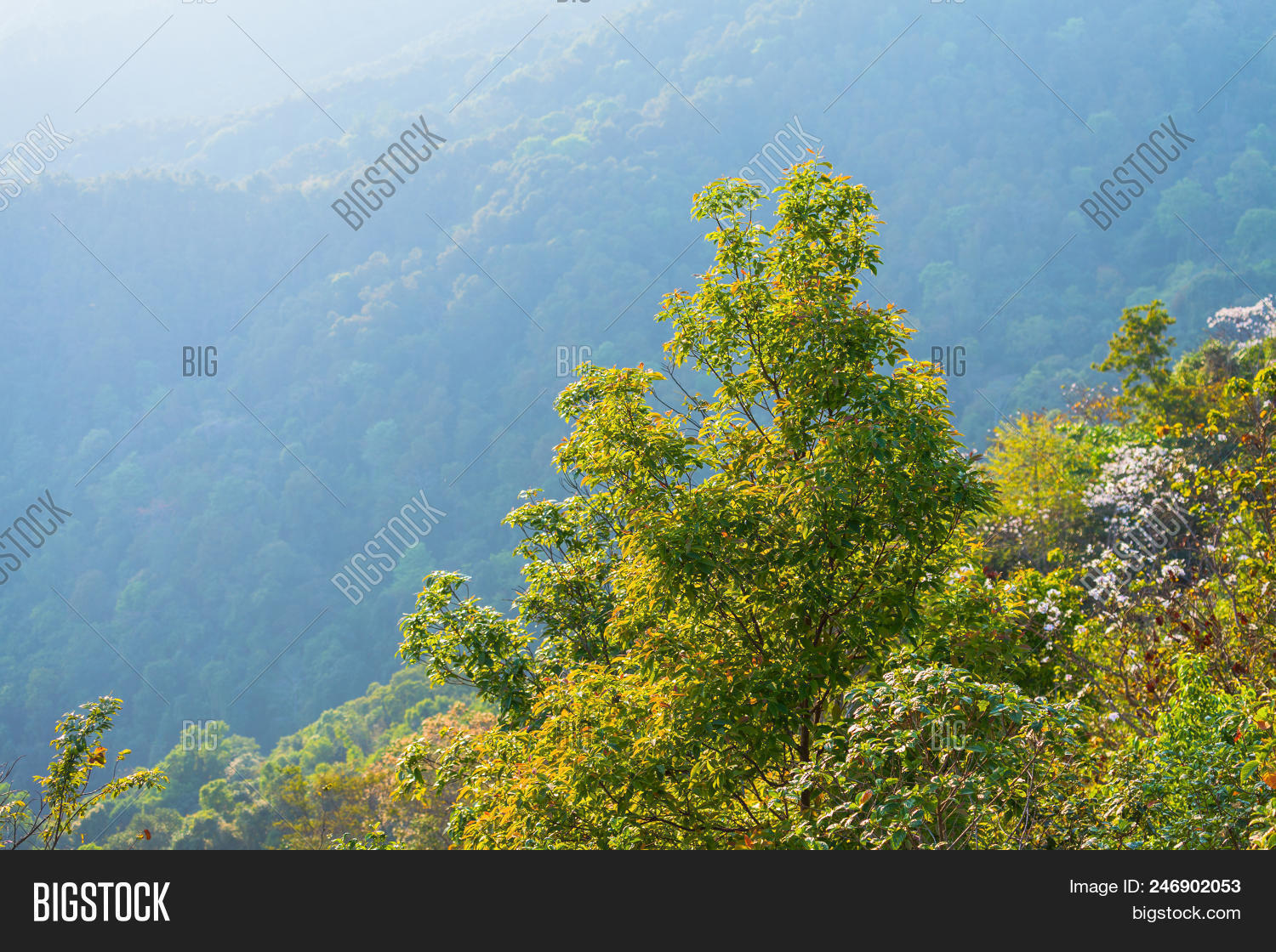 Doi Pha Mee View Point Image & Photo (Free Trial) | Bigstock