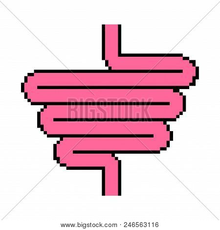 Vector y foto Intestines Pixel (prueba gratis) | Bigstock