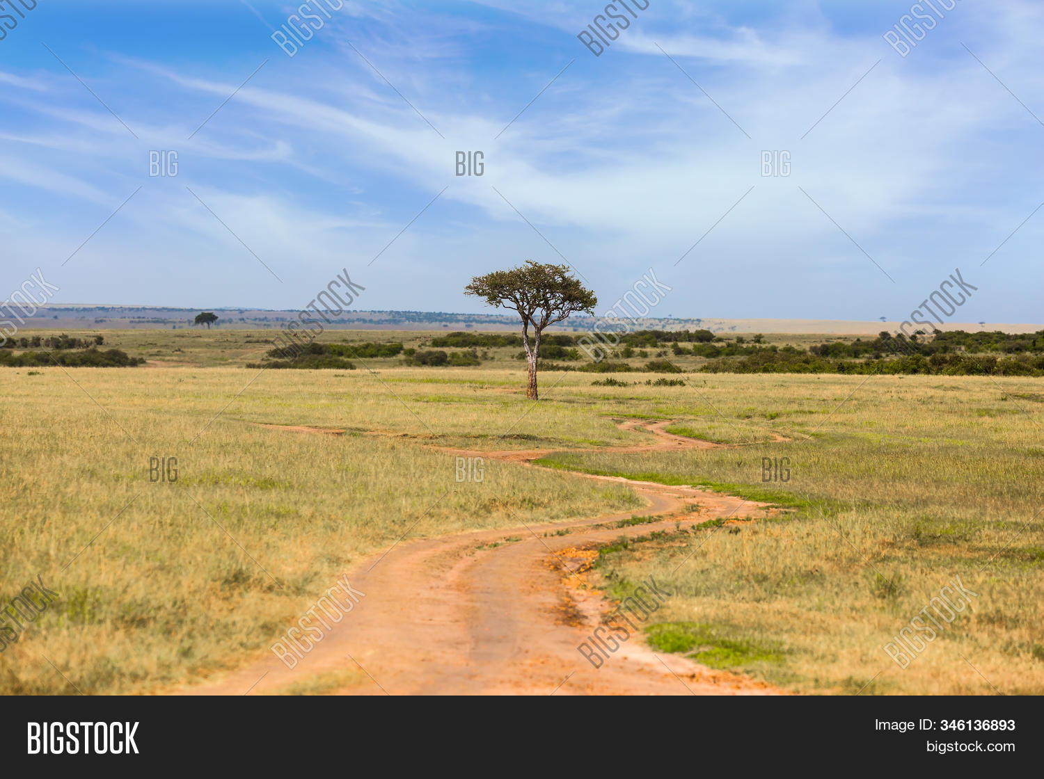 African Savannah Image & Photo (Free Trial) | Bigstock