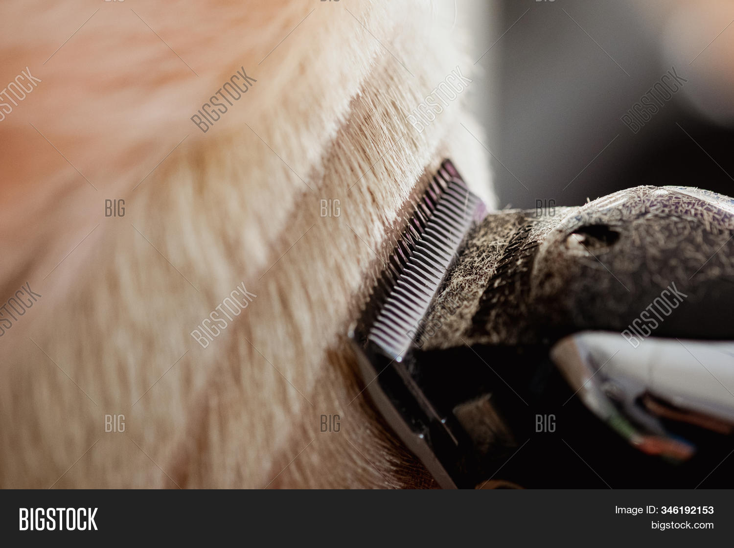 Hairdresser Machine Image & Photo (Free Trial) | Bigstock