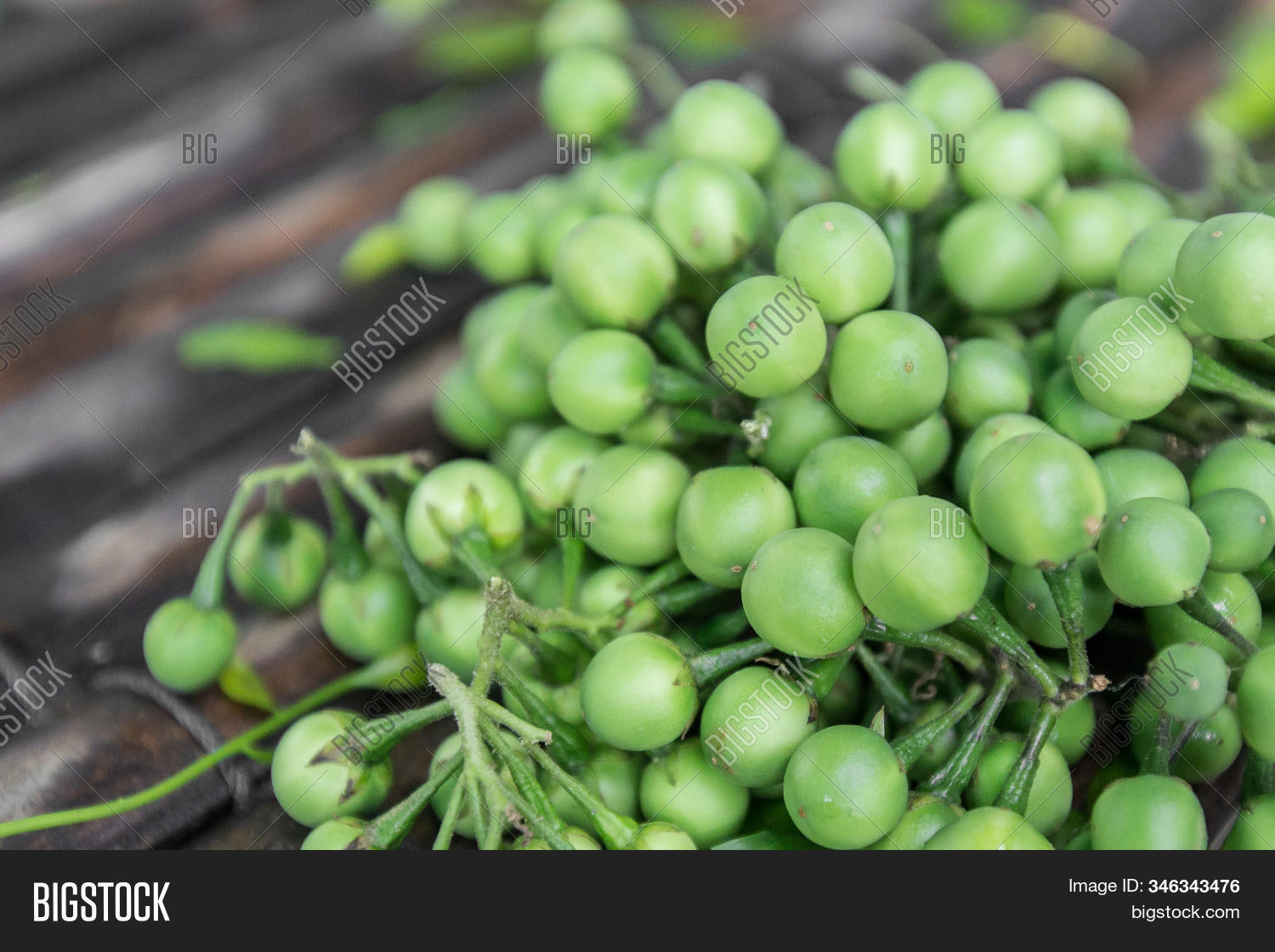 Close Turkey Berry On Image & Photo (Free Trial) | Bigstock