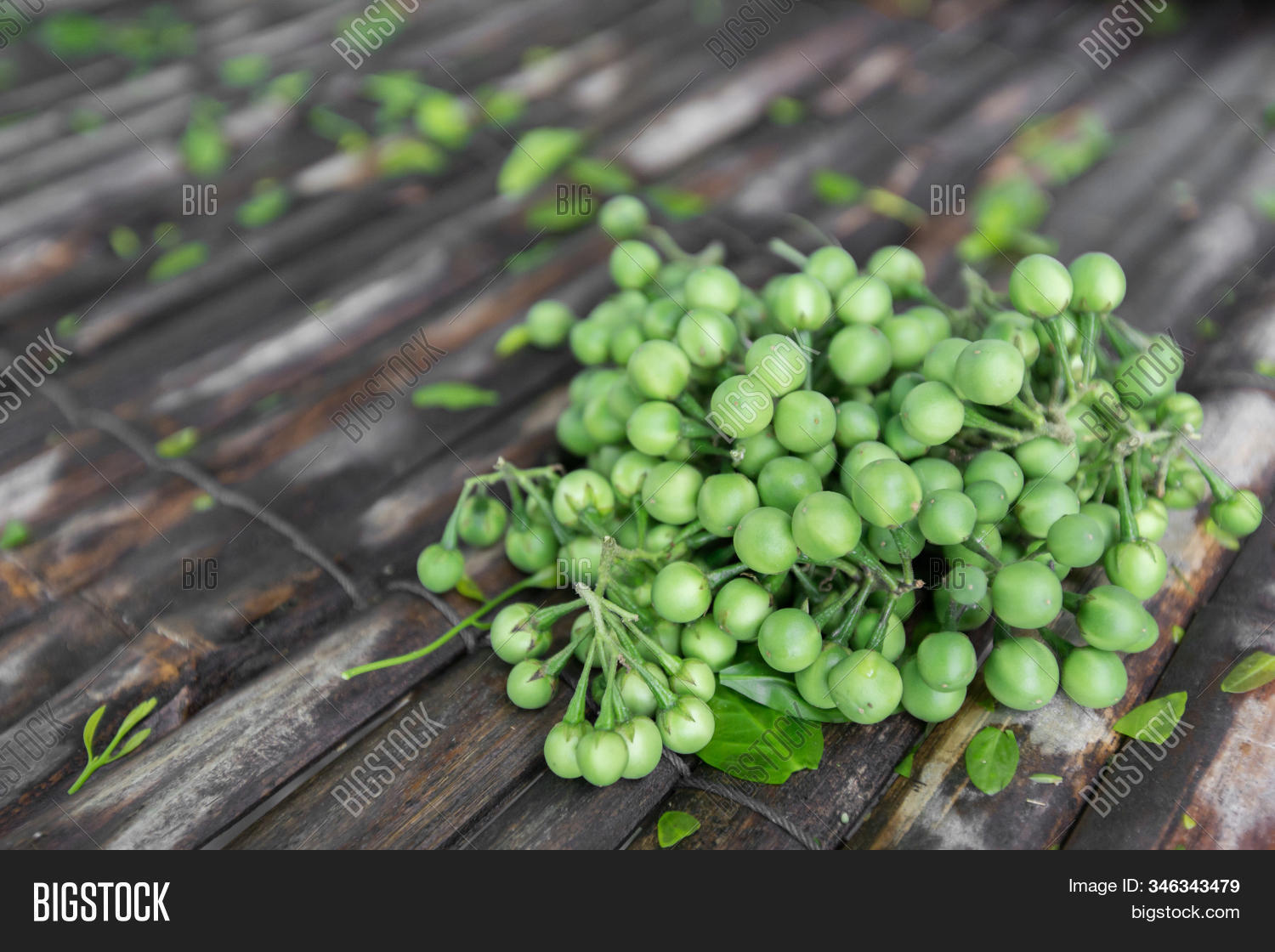Close Turkey Berry On Image & Photo (Free Trial) | Bigstock