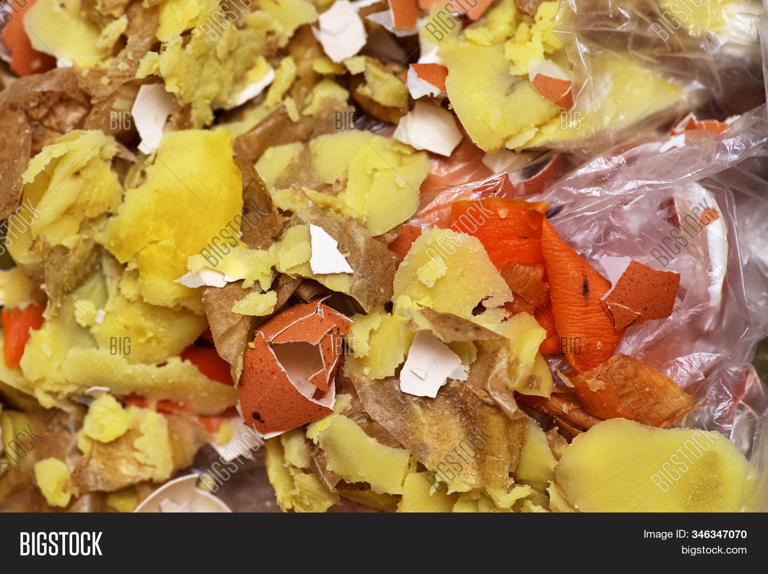 Food Waste Large Image & Photo (Free Trial) | Bigstock