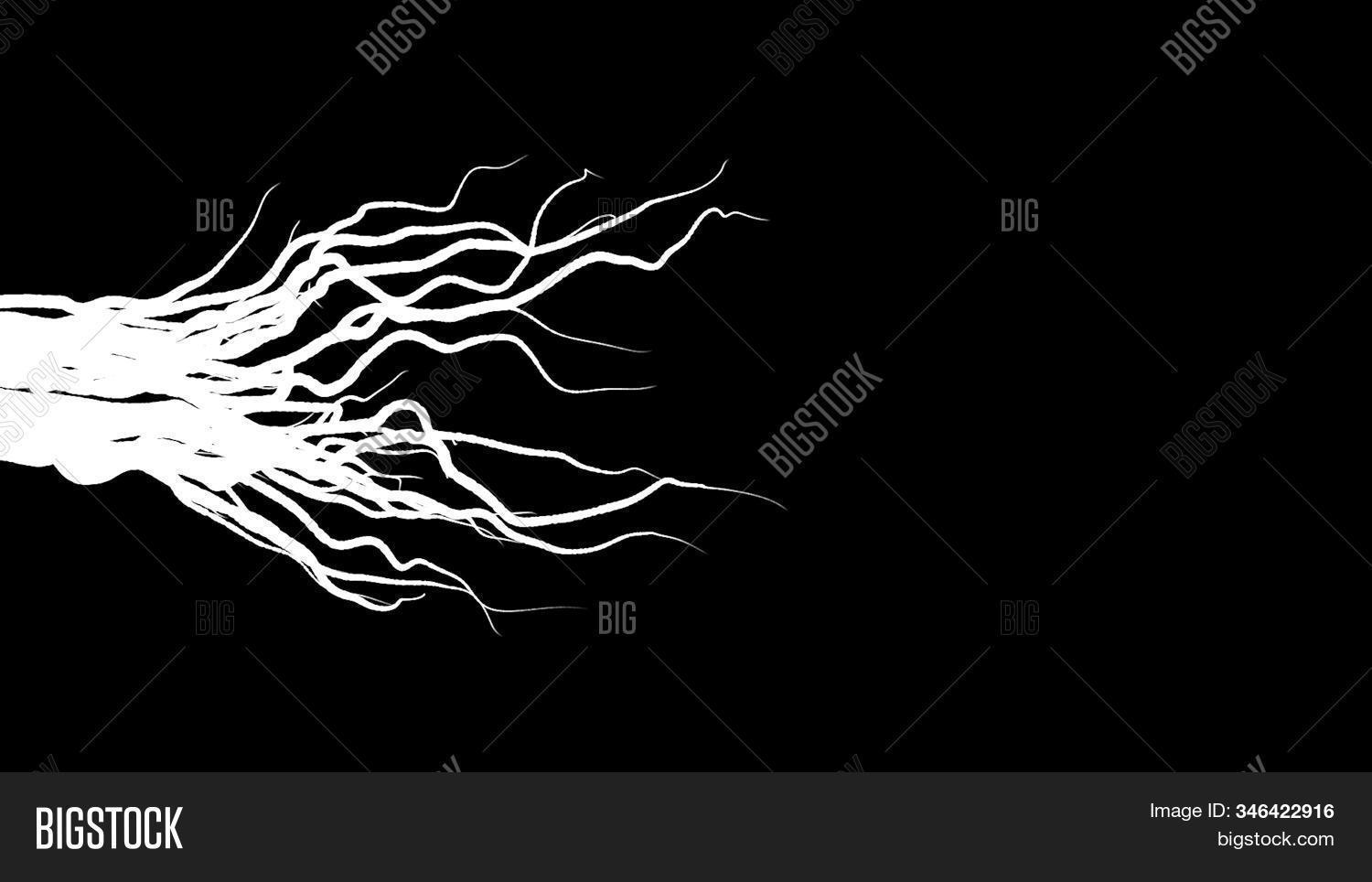 Animation Growing Image & Photo (Free Trial) | Bigstock