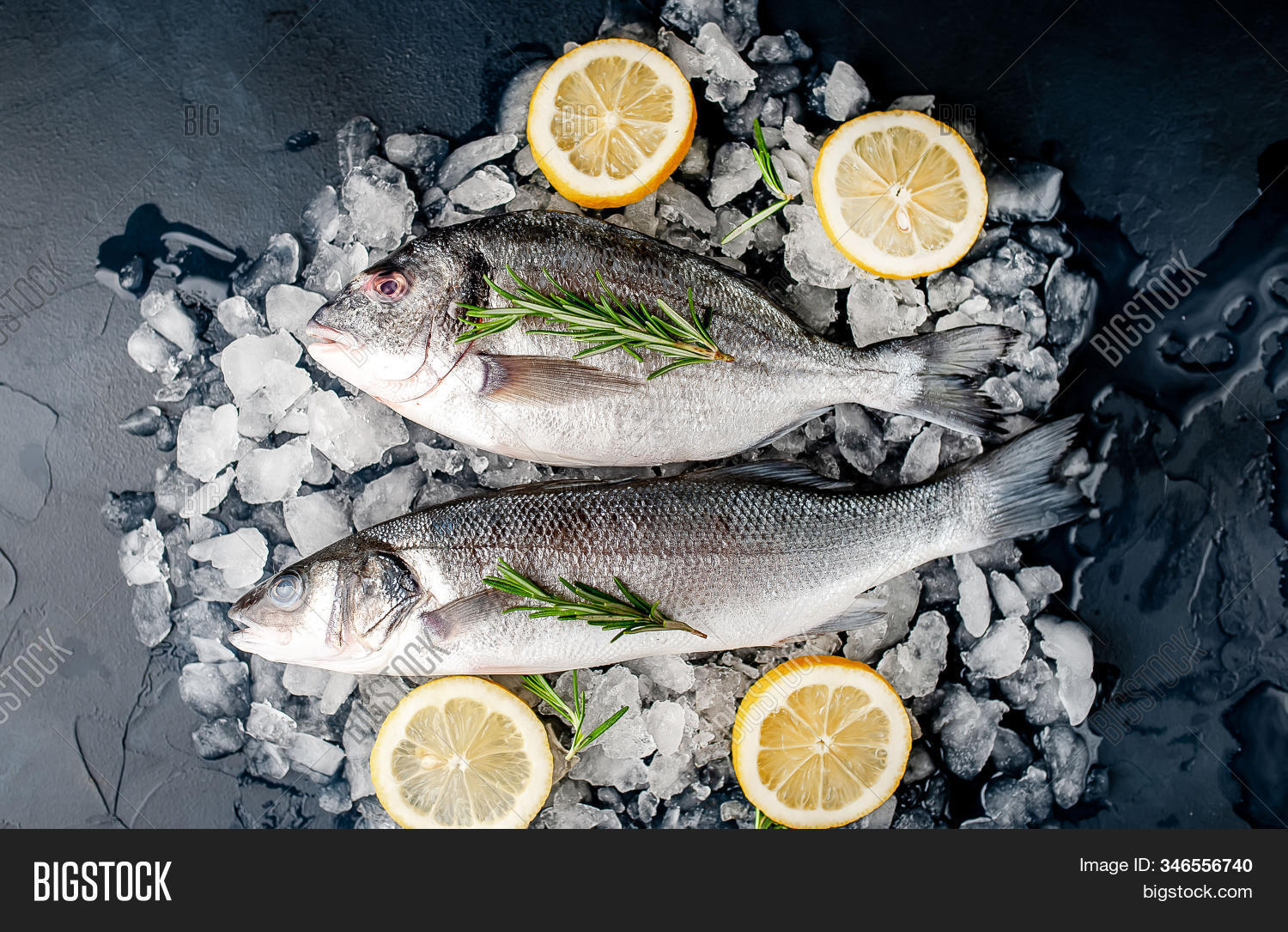 Chilled Raw Sea Bass Image & Photo (Free Trial) | Bigstock