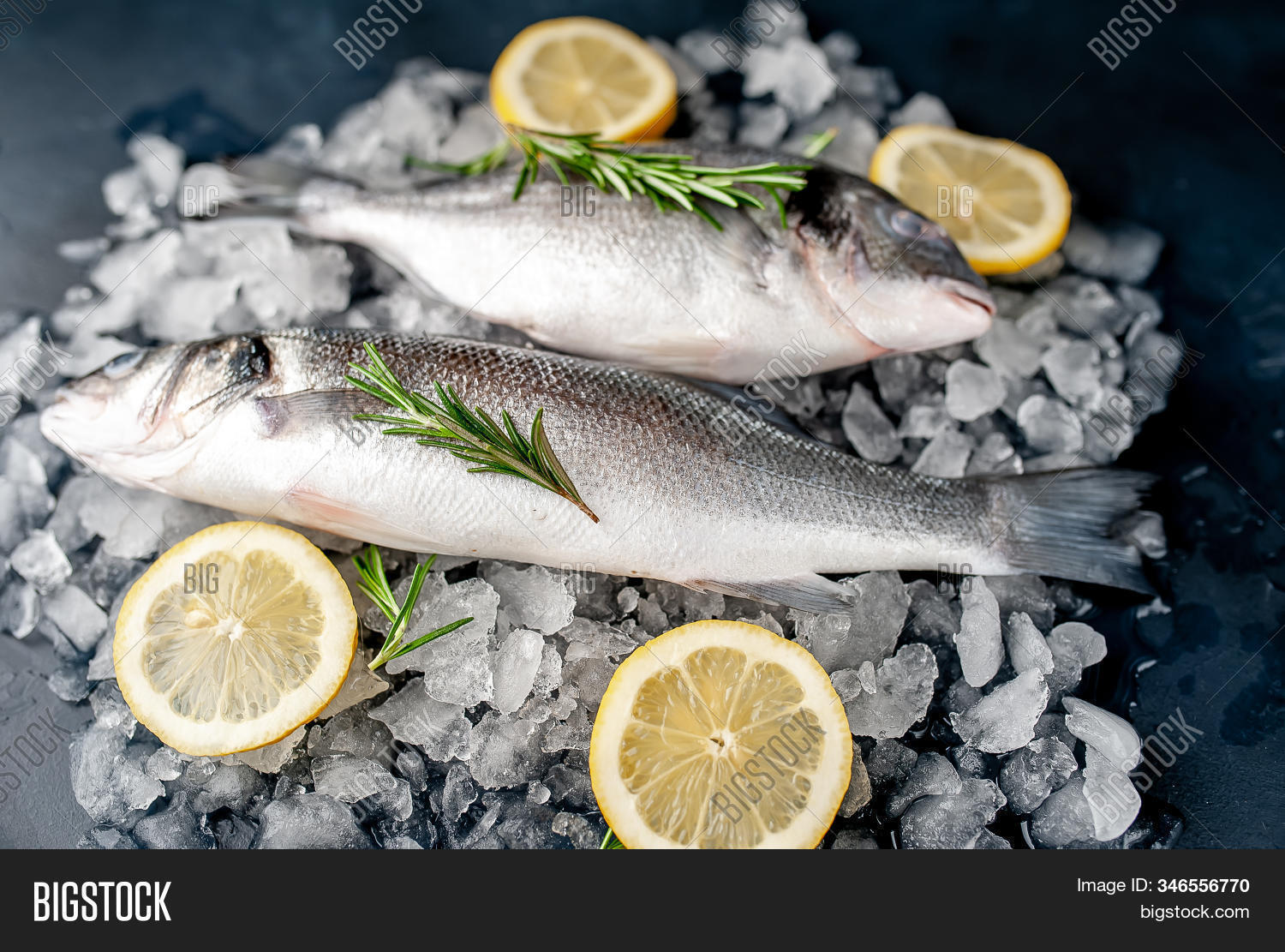 Chilled Raw Sea Bass Image & Photo (Free Trial) | Bigstock