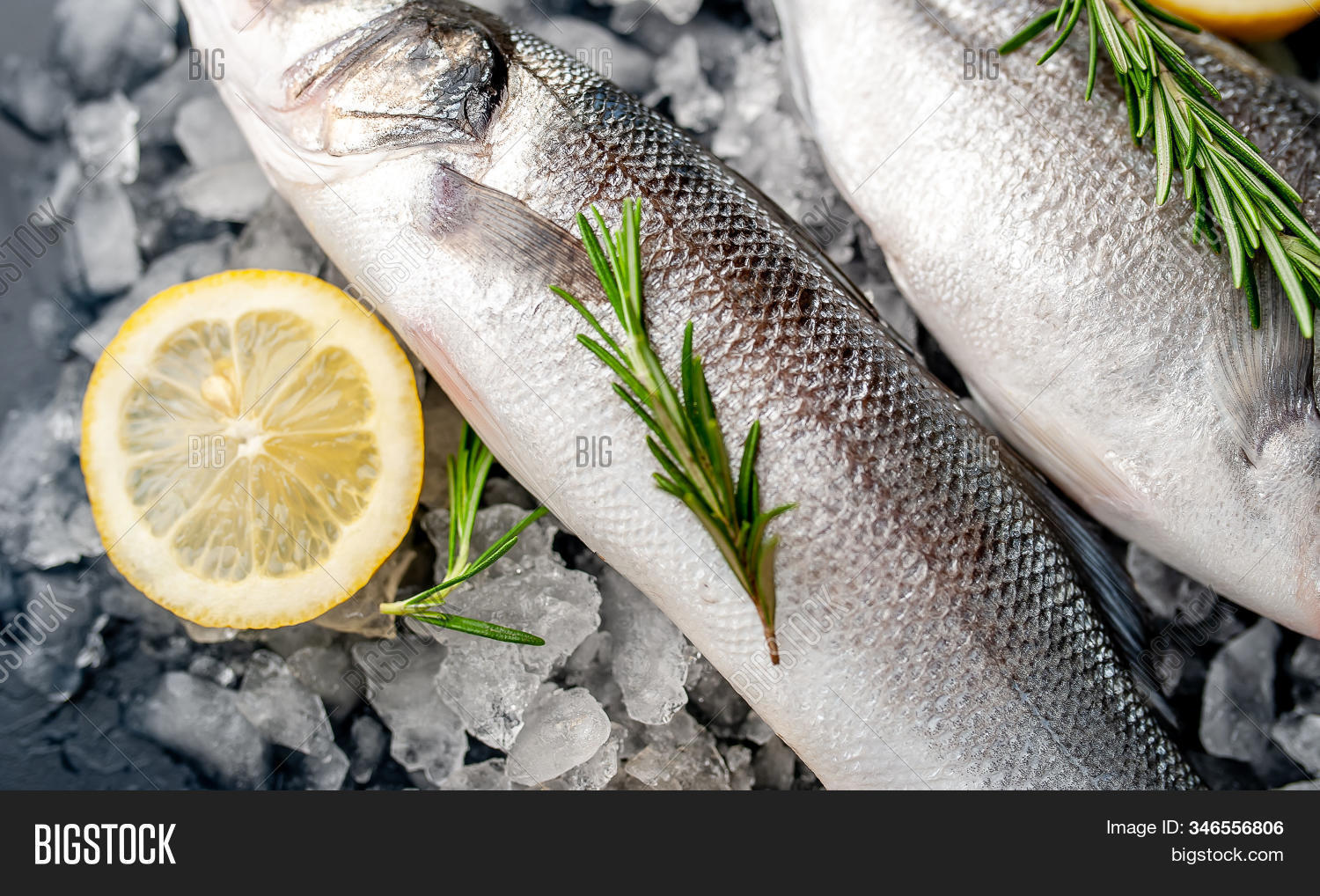 Chilled Raw Sea Bass Image & Photo (Free Trial) | Bigstock