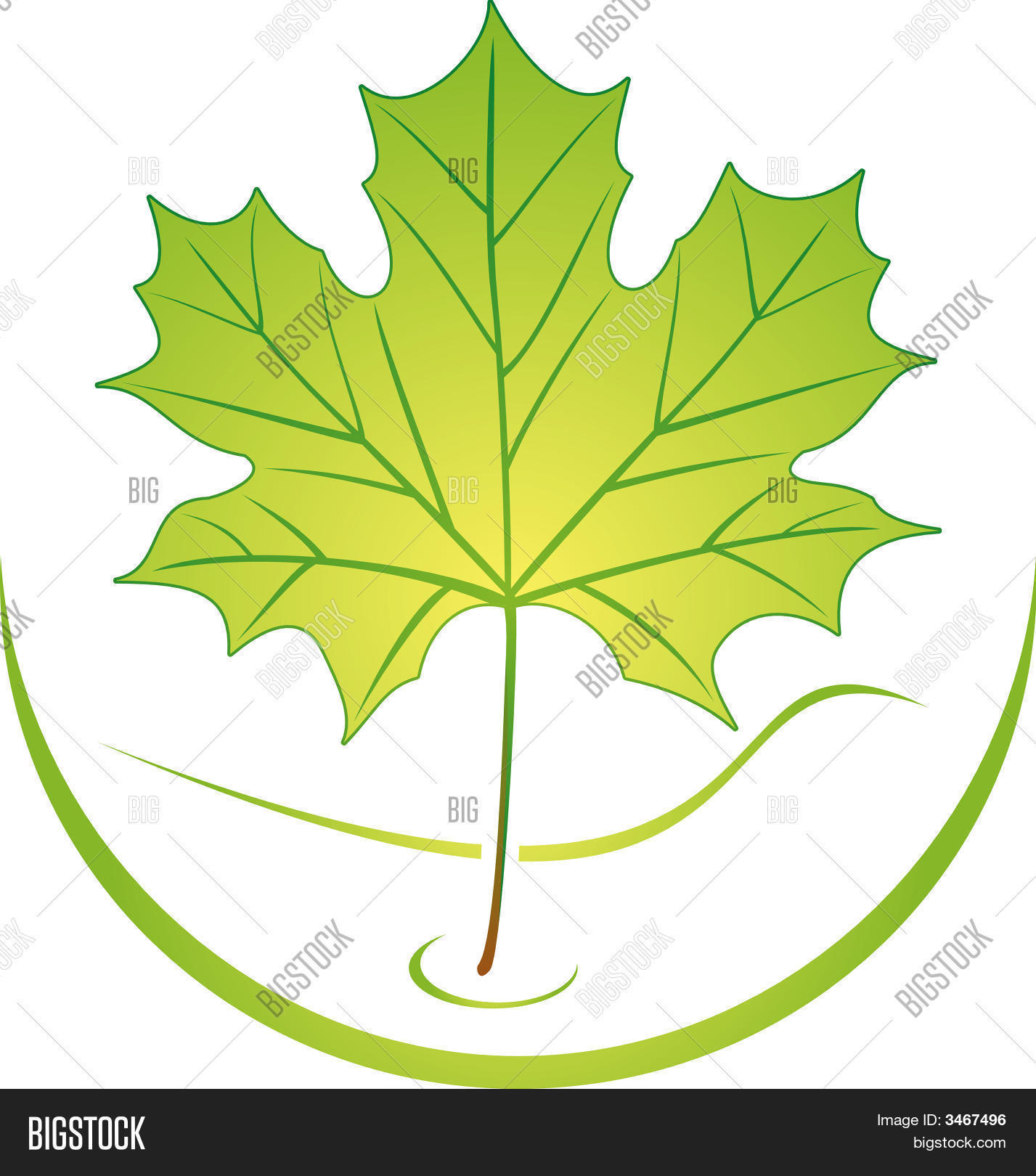Leaf Logo Vector & Photo (Free Trial) | Bigstock