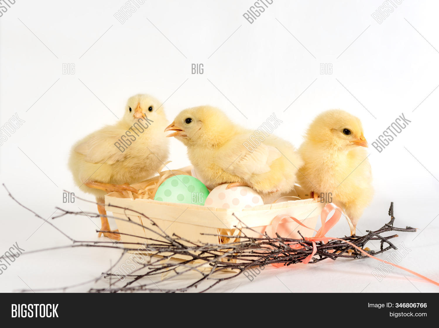 Three Chicks Nest Image & Photo (Free Trial) | Bigstock