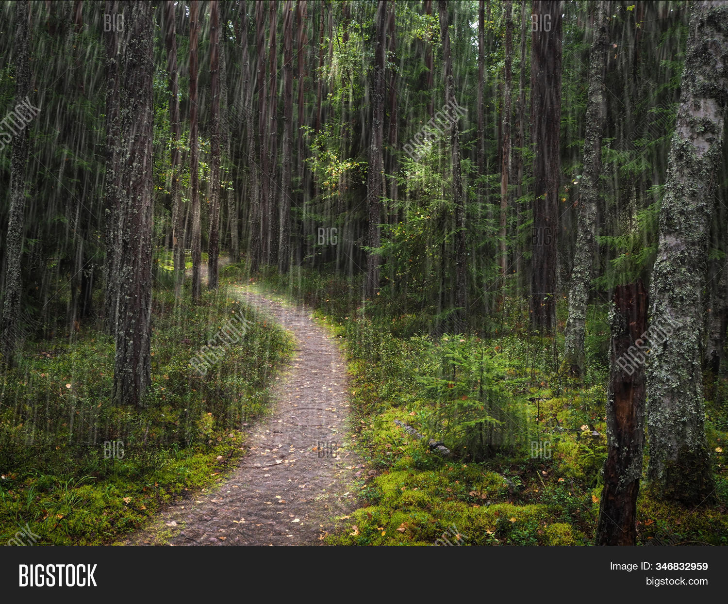 Scenic Vivid Green Image & Photo (Free Trial) | Bigstock