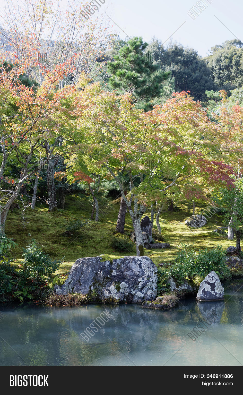 Pond Beautiful Calm Image & Photo (Free Trial) | Bigstock