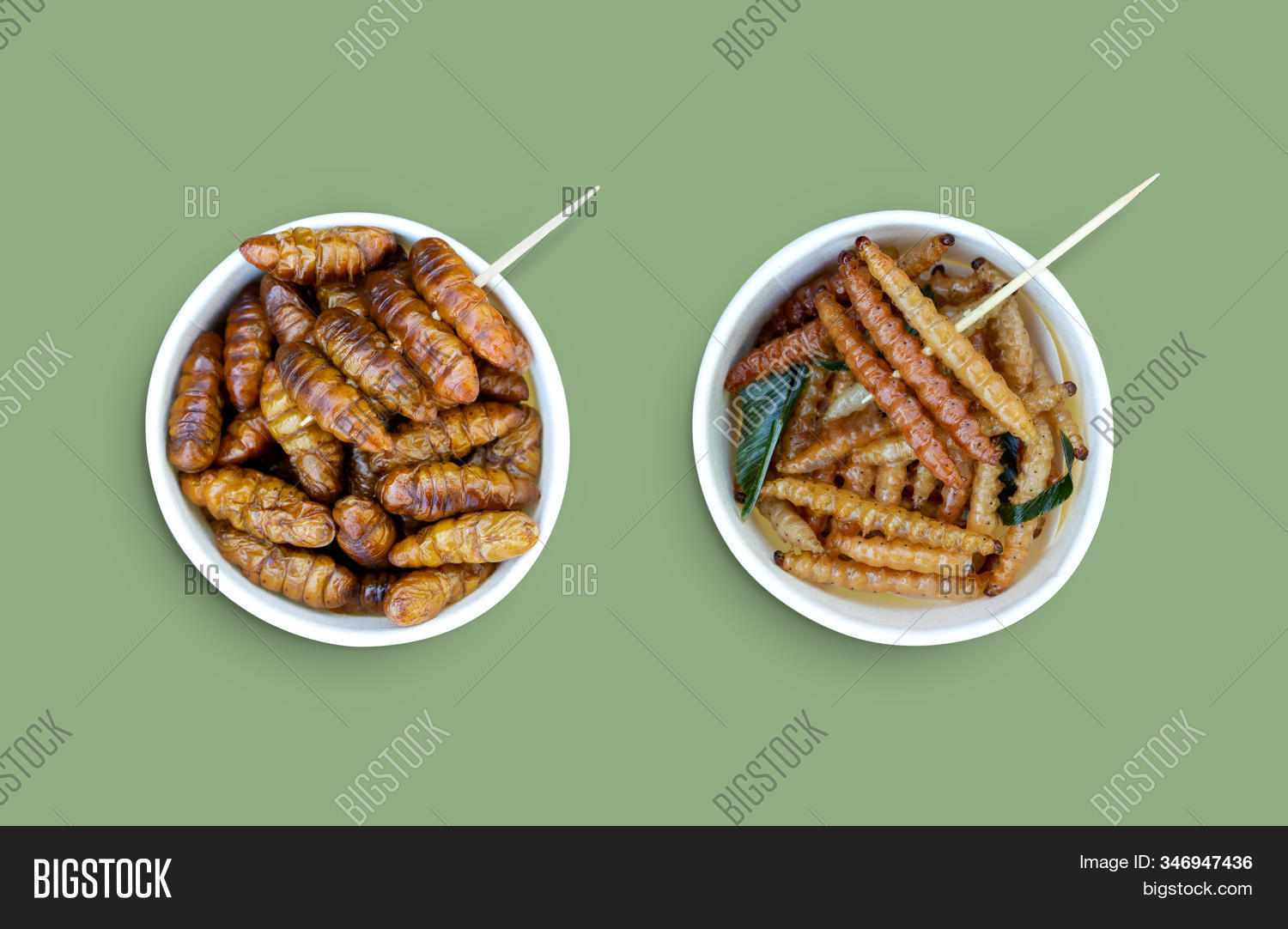 Bamboo Edible Worm Image & Photo (Free Trial) | Bigstock