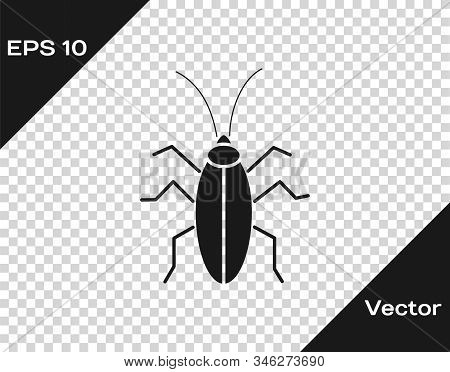 Grey Cockroach Icon Vector & Photo (Free Trial) | Bigstock