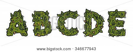 Some Part Decorative Vector & Photo (Free Trial) | Bigstock