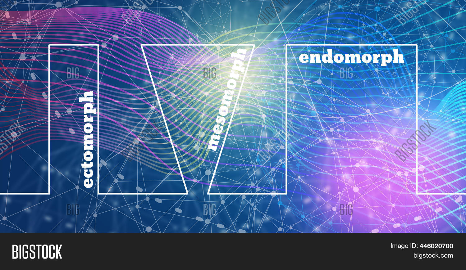 Body Types Icons Set. Image & Photo (Free Trial) | Bigstock