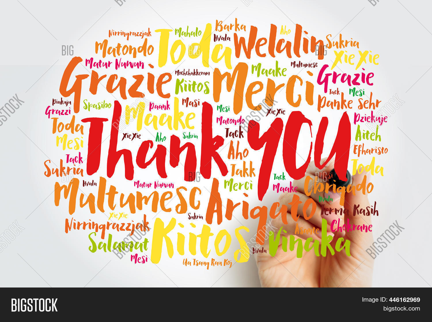 Thank You Word Cloud Image & Photo (Free Trial) | Bigstock