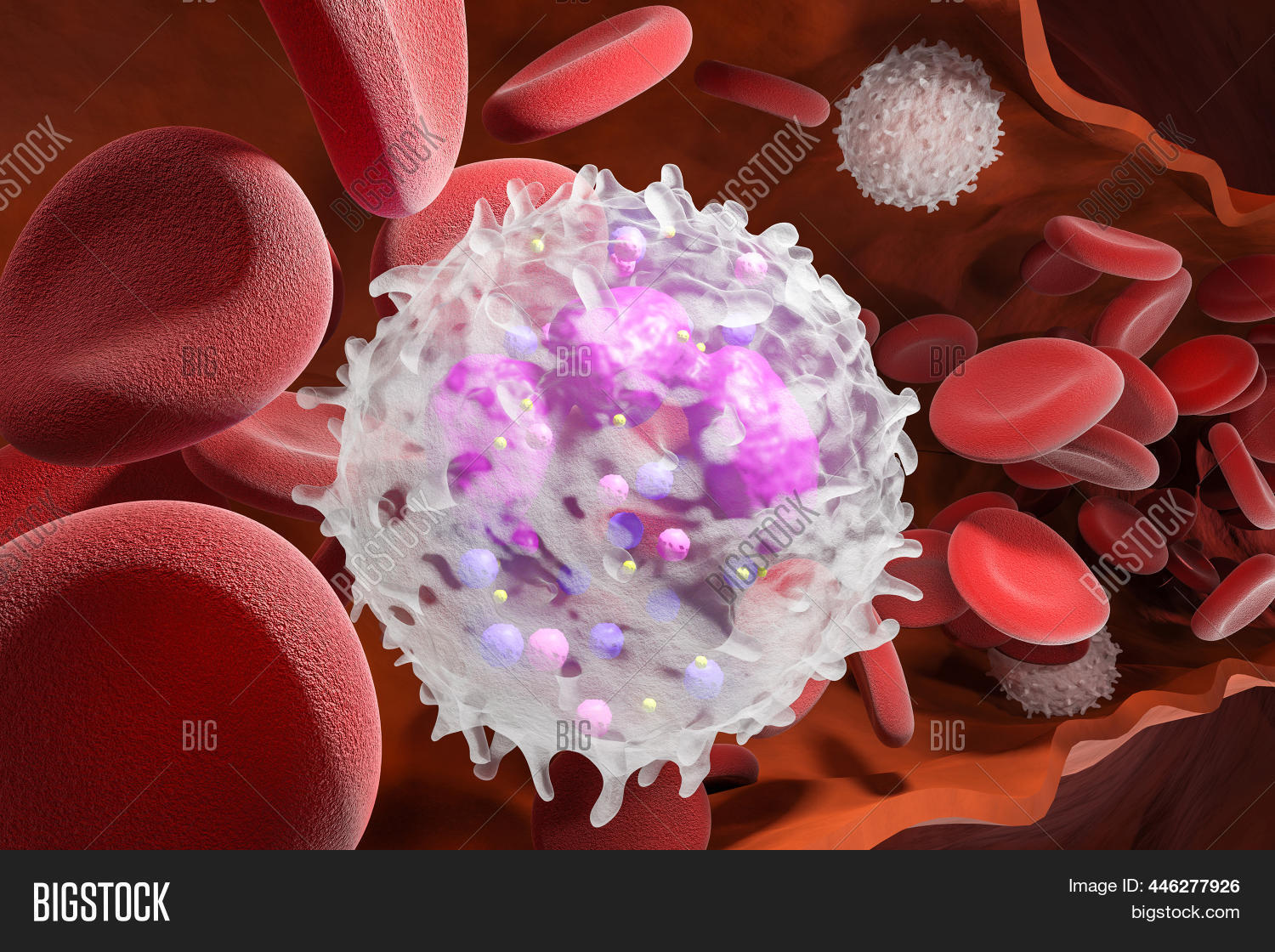 Leukocyte White Blood Image & Photo (Free Trial) | Bigstock