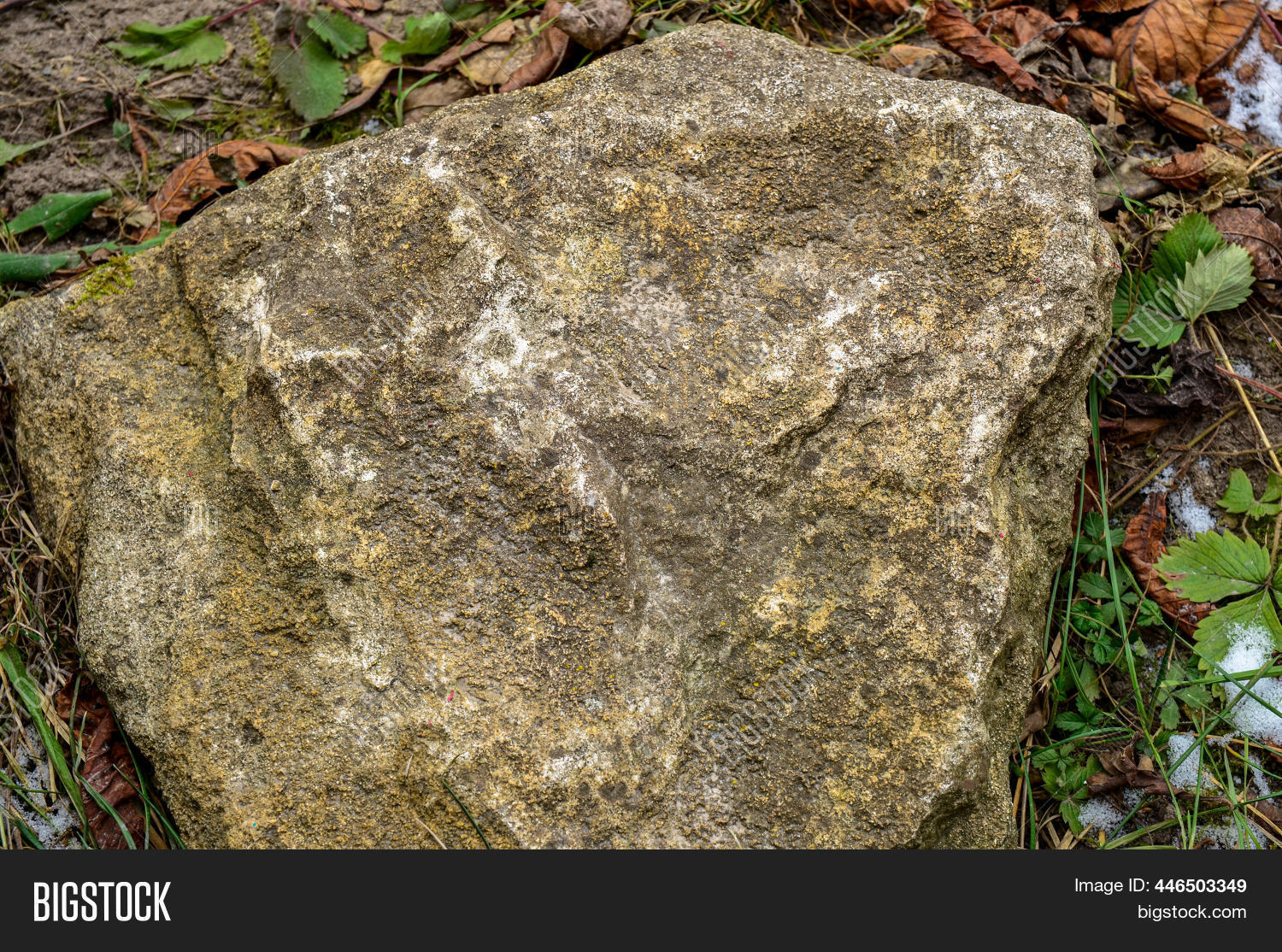 Limestone Inclusions Image & Photo (Free Trial) | Bigstock