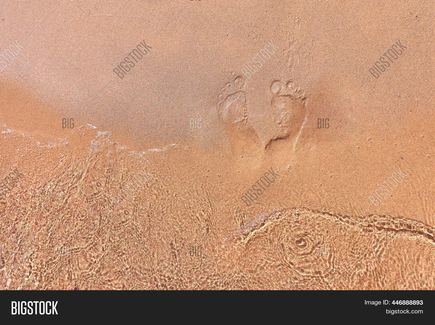 Single Footprints On Image & Photo (Free Trial) | Bigstock