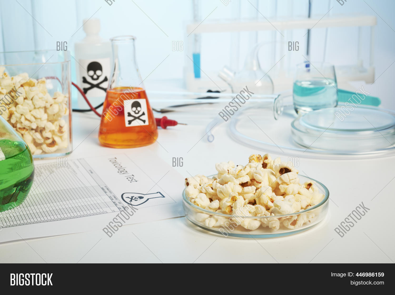 Pop Corns Petri Dish. Image & Photo (Free Trial) | Bigstock