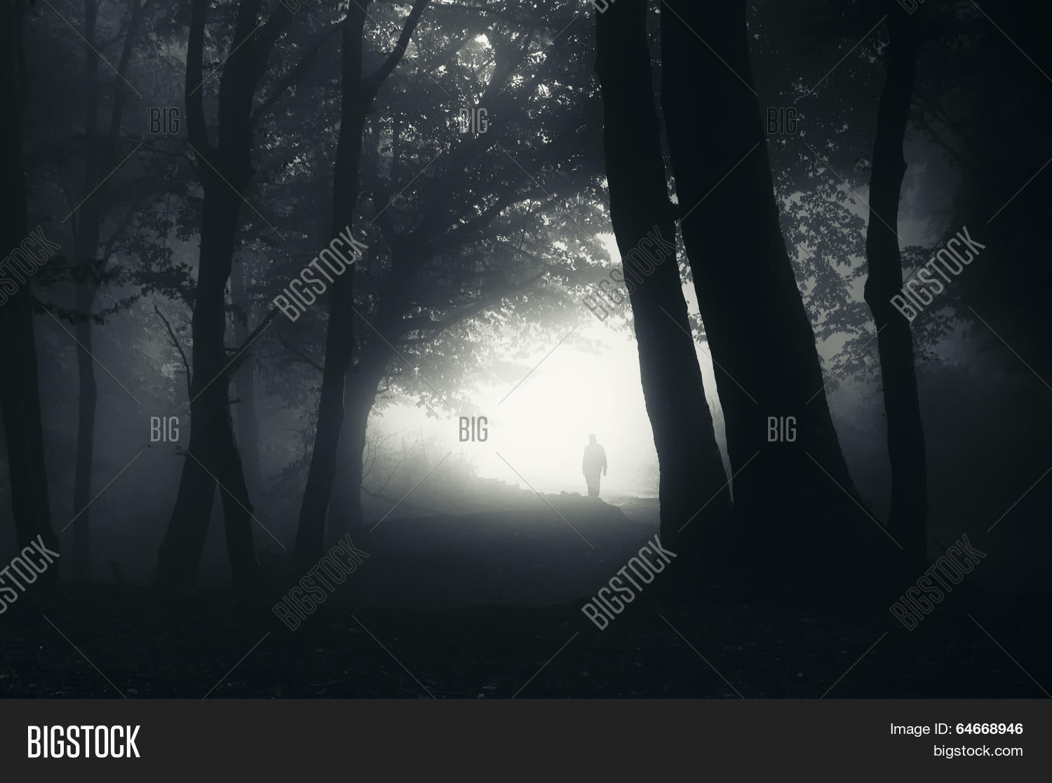 Shadow Man Dark Image & Photo (Free Trial) | Bigstock