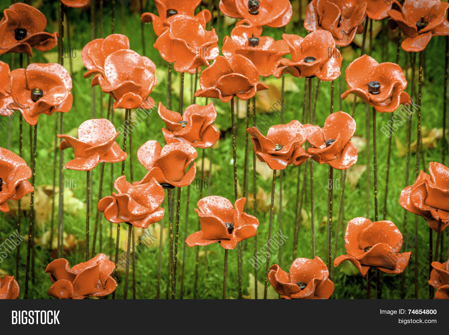 Rain Stained WWII Image & Photo (Free Trial) | Bigstock