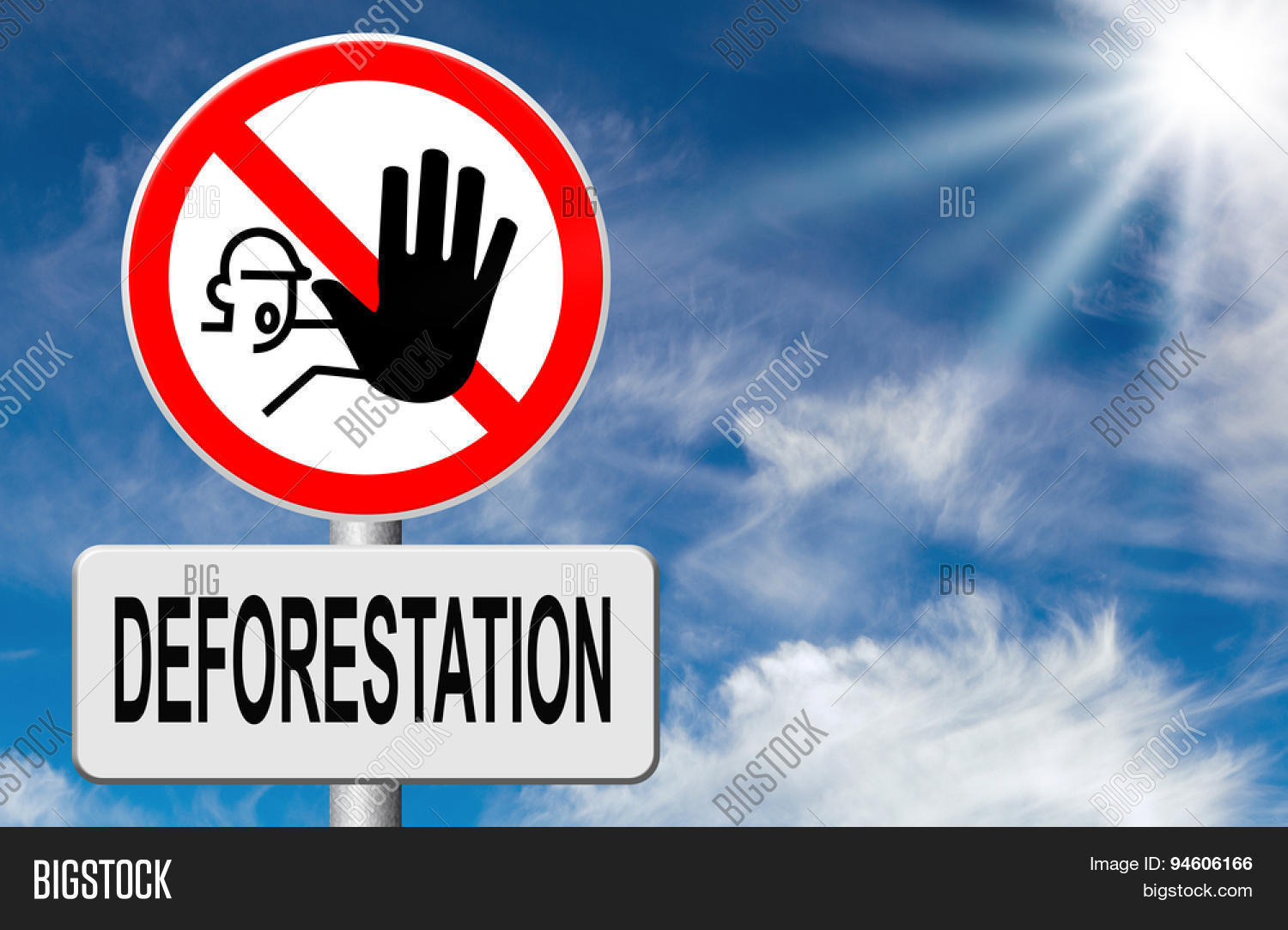 Stop Deforestation Sign