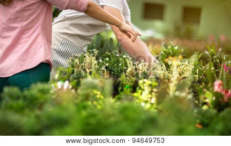 Girl Pointing Flowers Image & Photo (Free Trial) | Bigstock