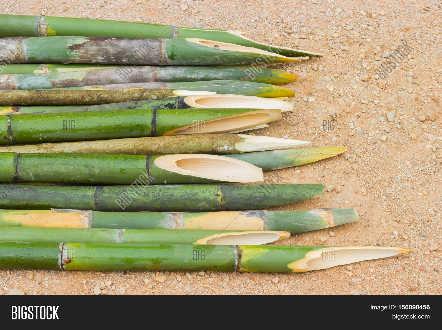 Sharpened Bamboo Image & Photo (Free Trial) | Bigstock