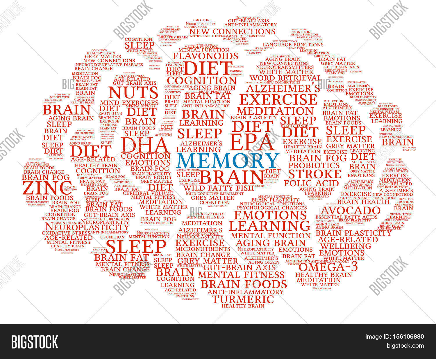 Memory Brain Word Vector & Photo (Free Trial) | Bigstock