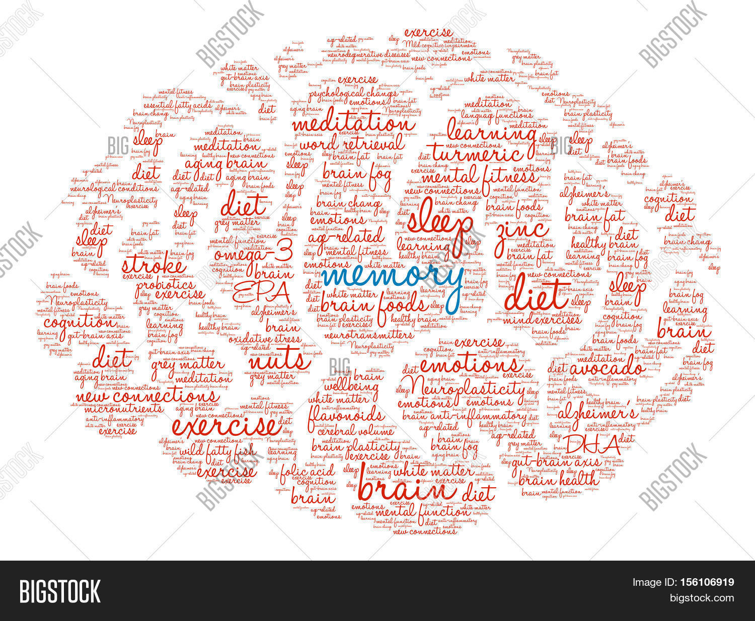 Memory Brain Word Vector & Photo (Free Trial) | Bigstock