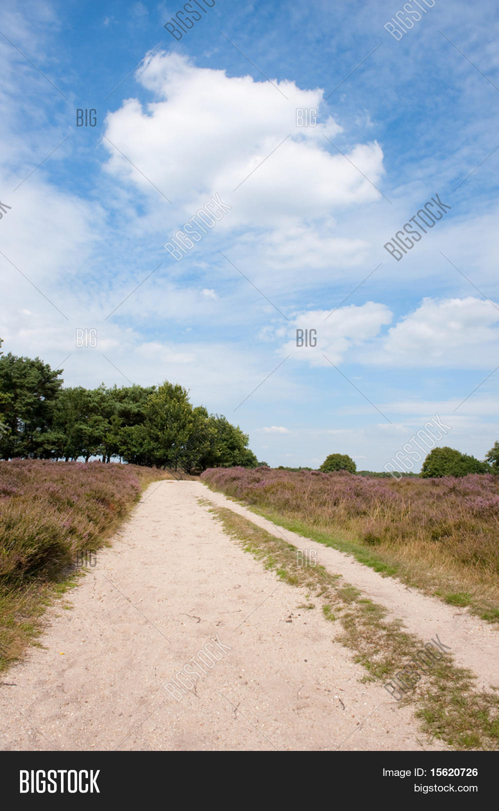 Landscape Sand Path Image & Photo (Free Trial) | Bigstock