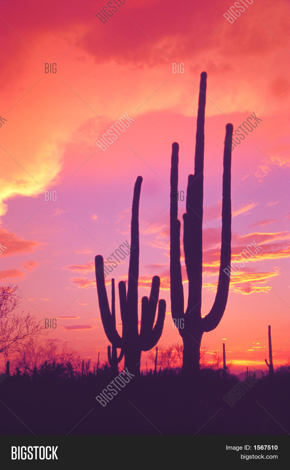 Southwestern Sunset Image & Photo (Free Trial) | Bigstock