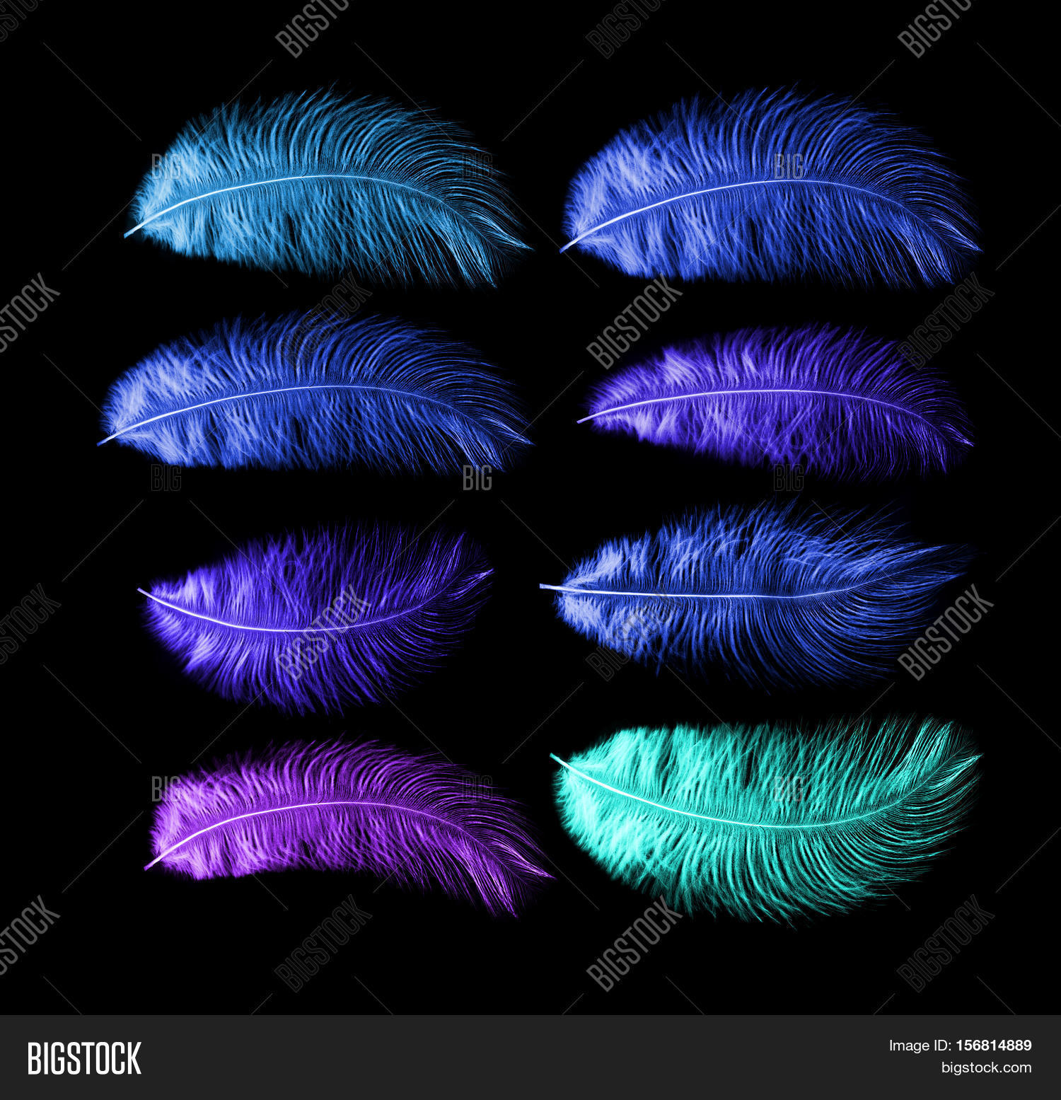 Colored Feathers Image & Photo (Free Trial) | Bigstock