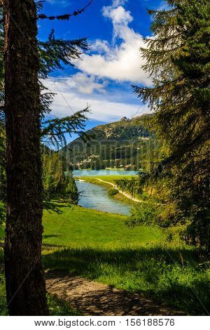 Between 2 Trees Image & Photo (Free Trial) | Bigstock