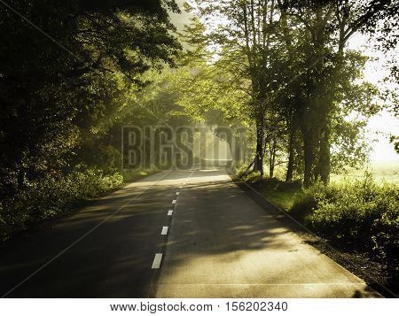 Nostalgic Forest Road Image & Photo (Free Trial) | Bigstock