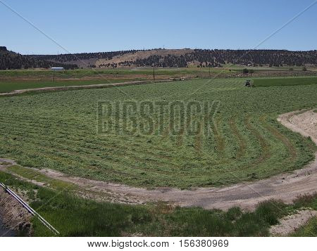 ภาพและภาพถ่าย (ทดลองใช้ฟรี) | Bigstock