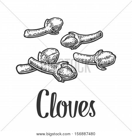 Cloves. Isolated On Vector & Photo (Free Trial) | Bigstock
