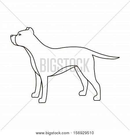 Pitbull Icon Outline Vector & Photo (Free Trial) | Bigstock