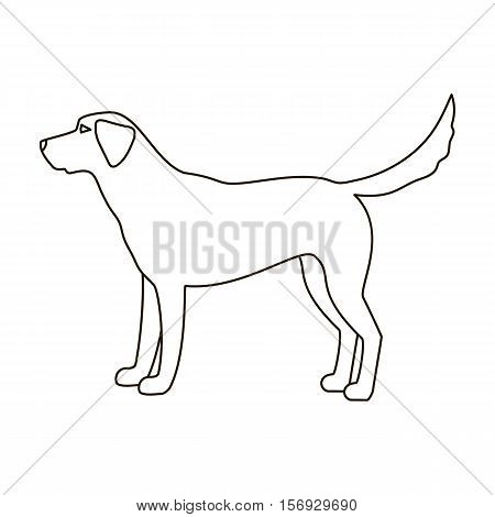 Labrador Icon Outline Vector & Photo (Free Trial) | Bigstock